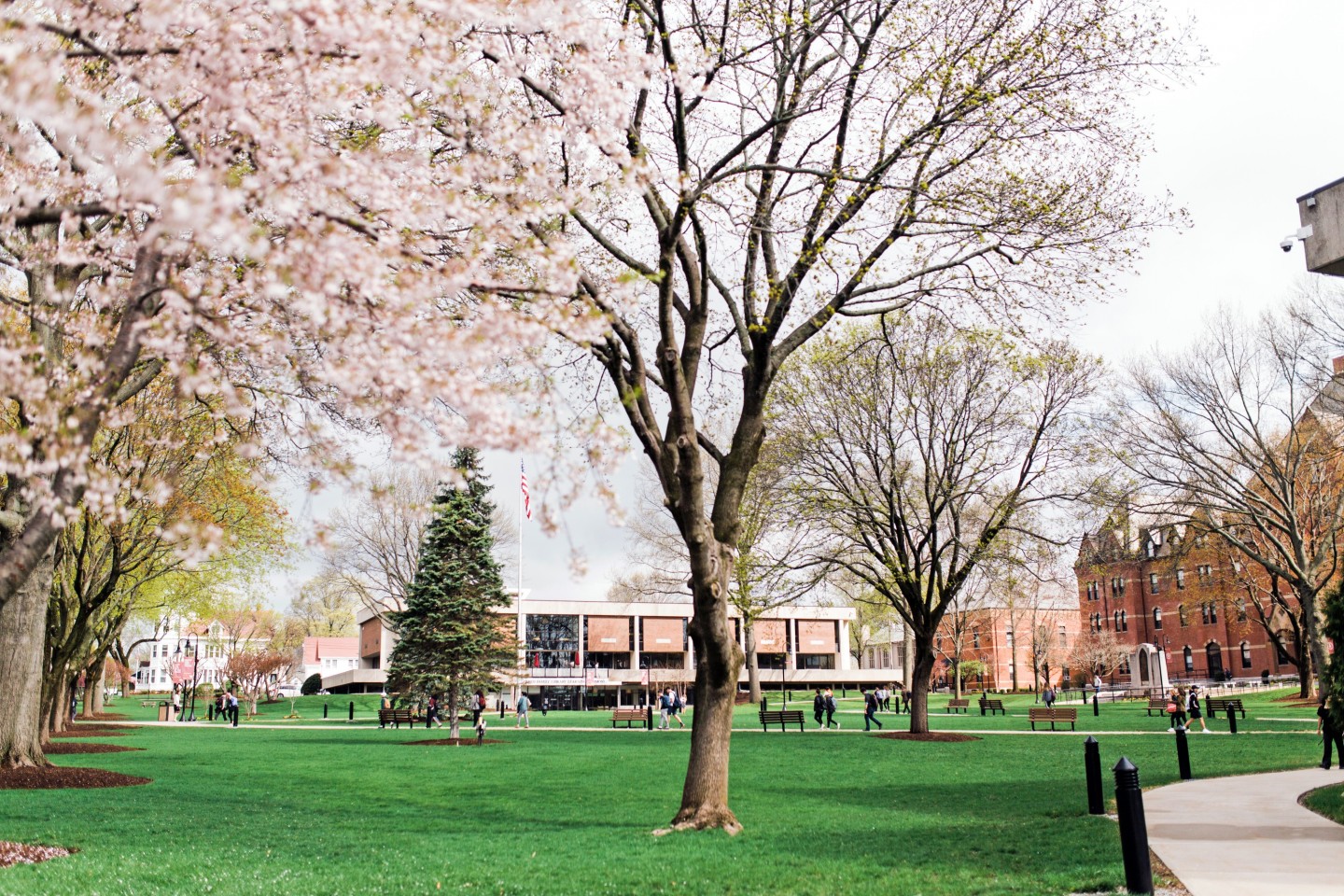 Dean College Announces Graduating Student Awards 2022 | Dean College
