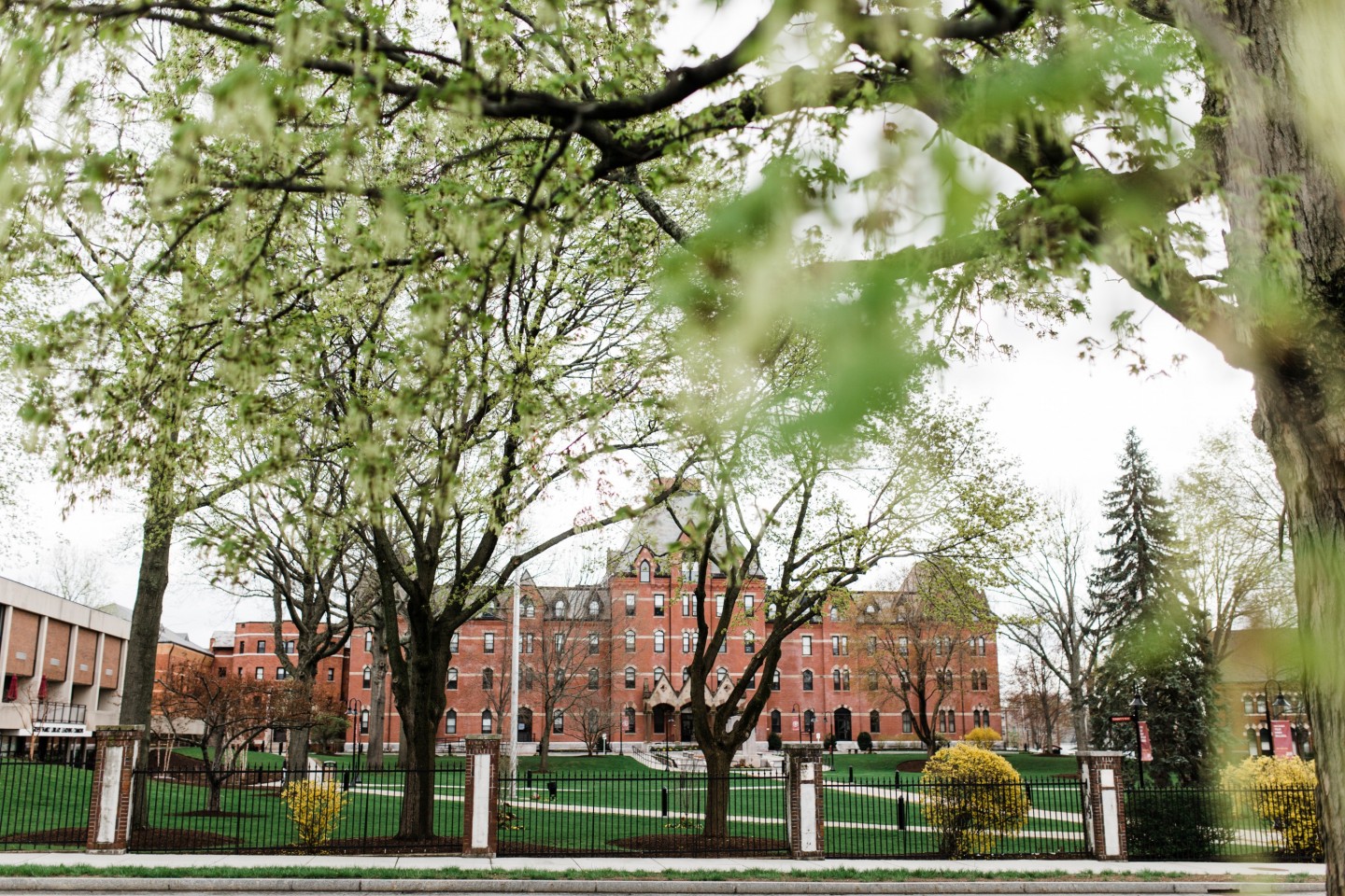 Dean College Announces Members of the National Society of Leadership ...