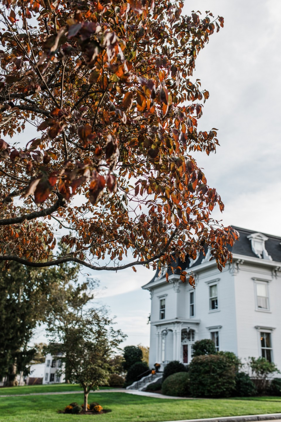 Dean College Announces Members of The National Honor Society for Dance ...