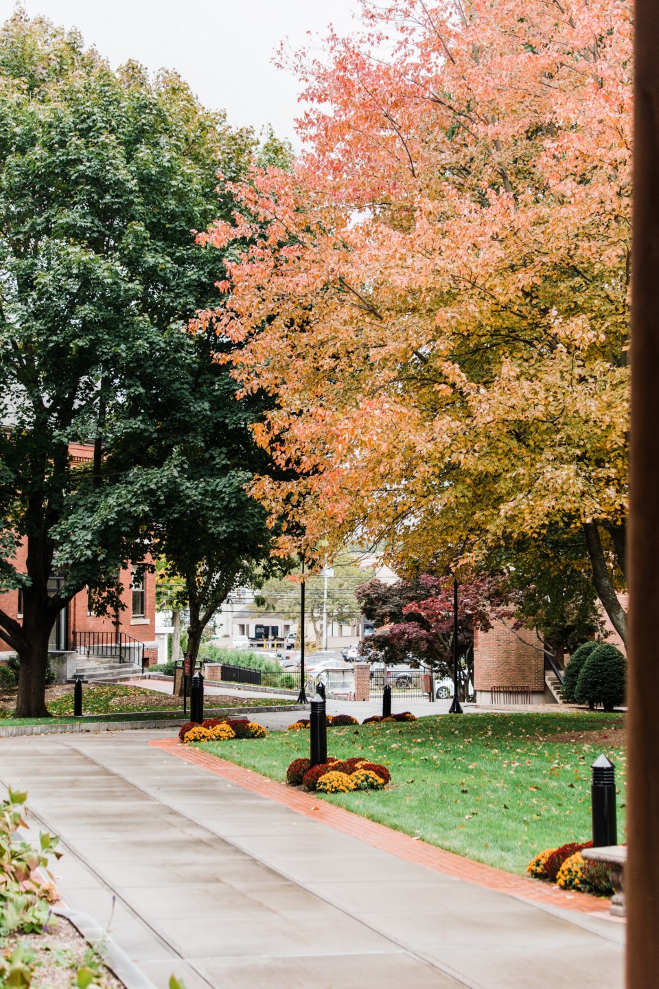Dean College Recognized by Phi Theta Kappa for Exemplary Transfer ...