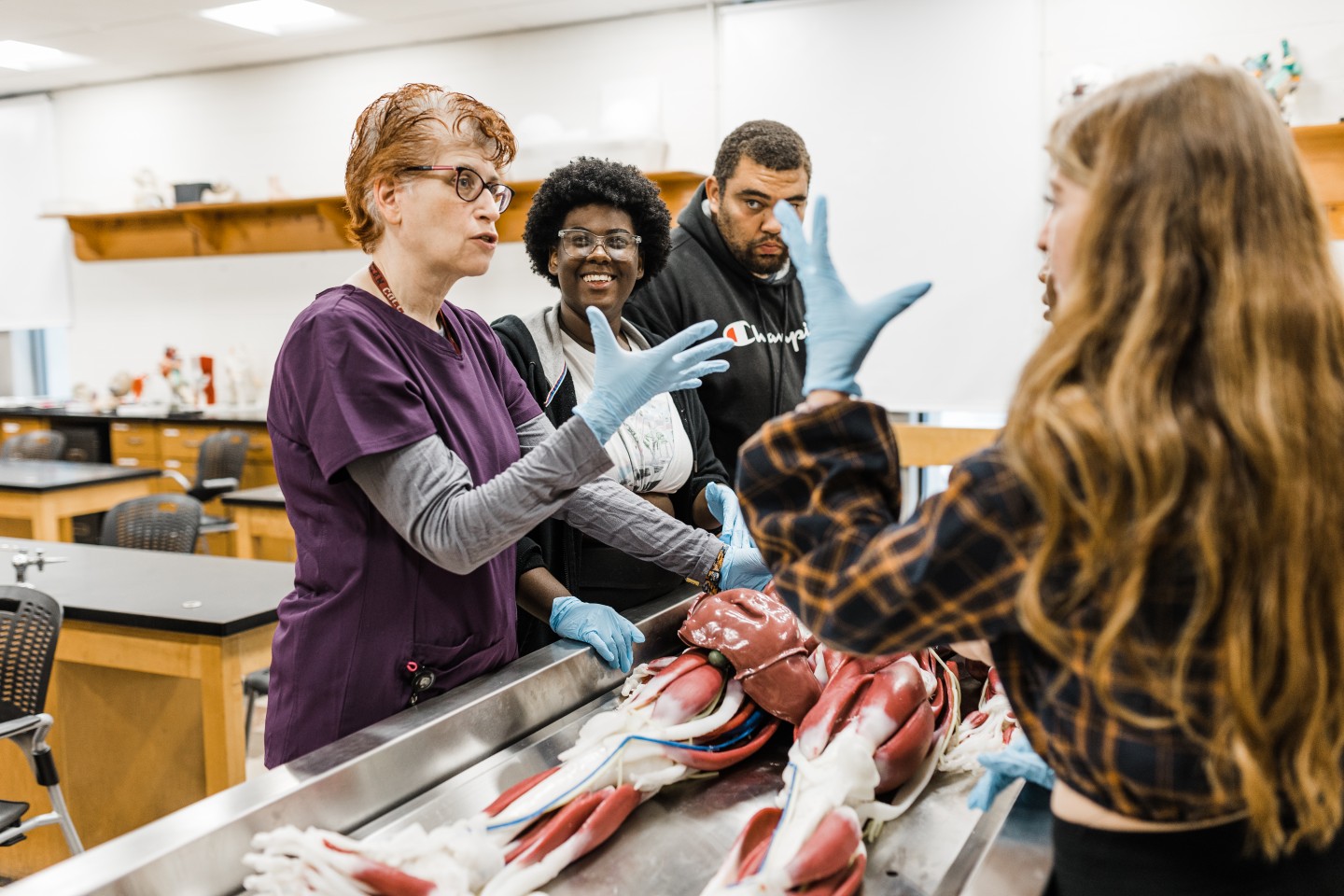 MA Pre-Physician Assistant Program: Your 1st Step in Healthcare | Dean ...