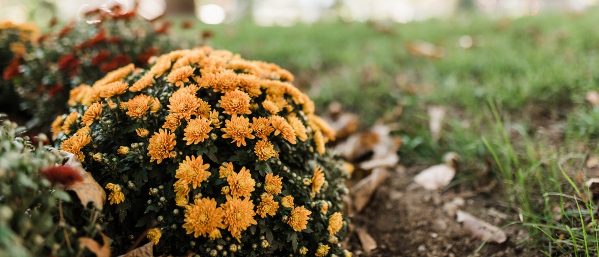 Our Academic Calendar | Dean College