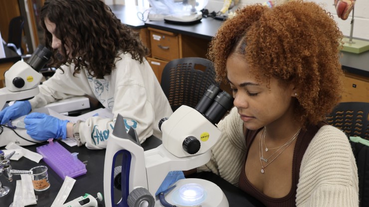 Neuroscience Degree Programs | Dean College | Dean College