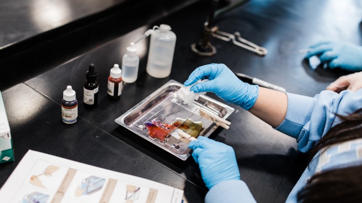 Science Degree Programs | Dean College